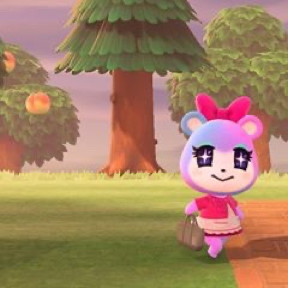 Other | Raymond Anch Any New Villager Plus 40nmt Dm Me | Poshmark